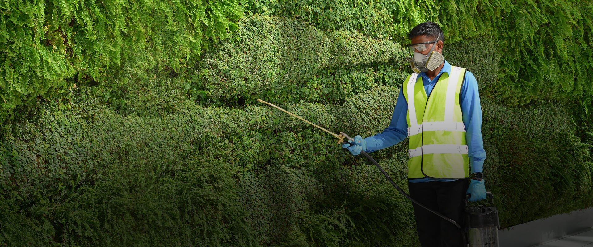 Best Facility Management Services | Facility Management Company in ...